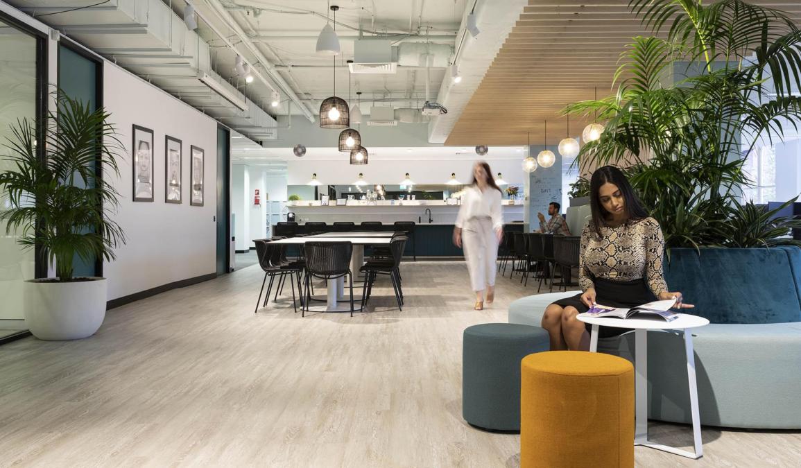 Novotech office Sydney | Office design Australia | United Workplace